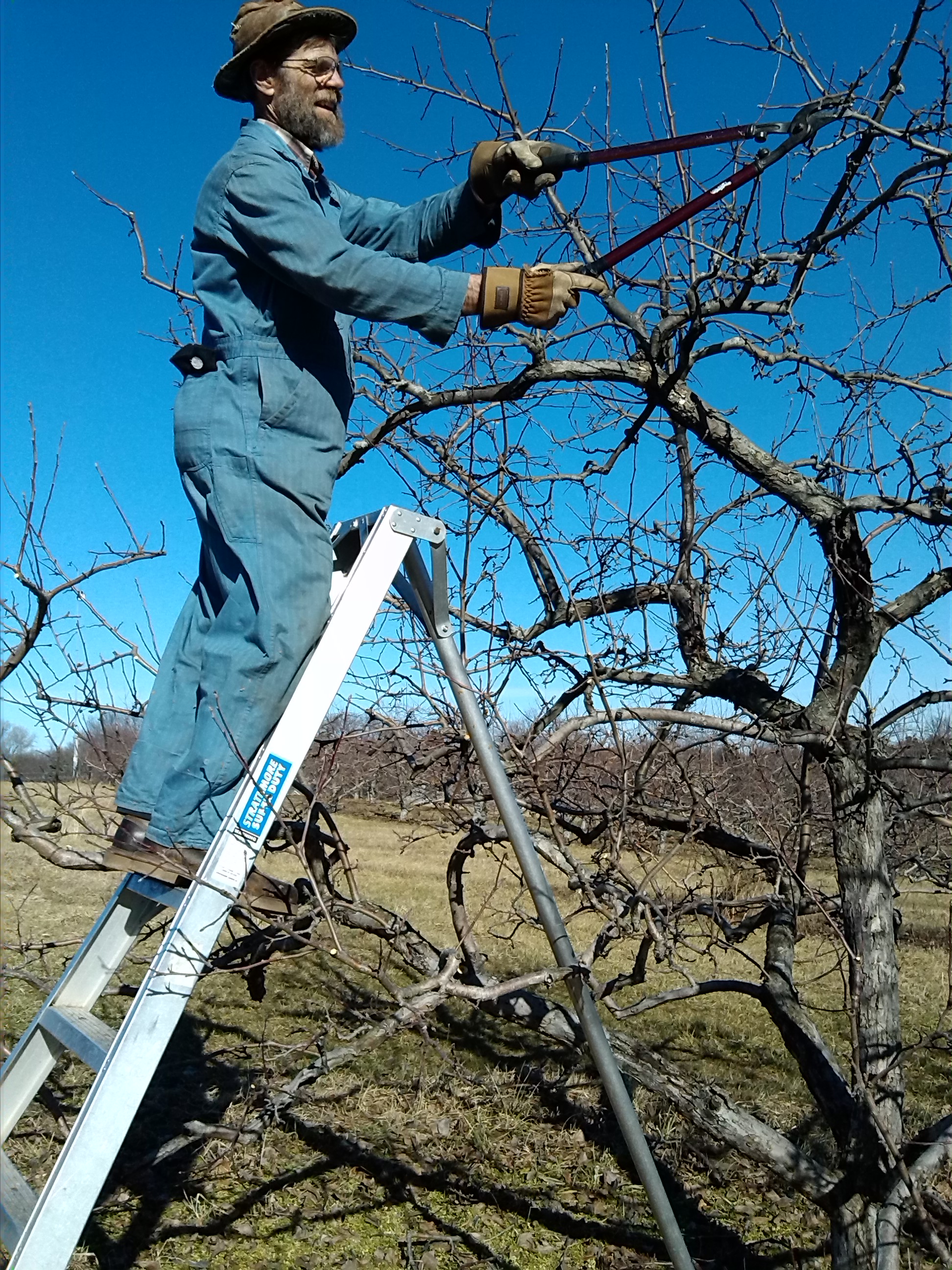 A.B.Phillips & Sons Fruit Farm – Buckeye Harvest Market Cooperative